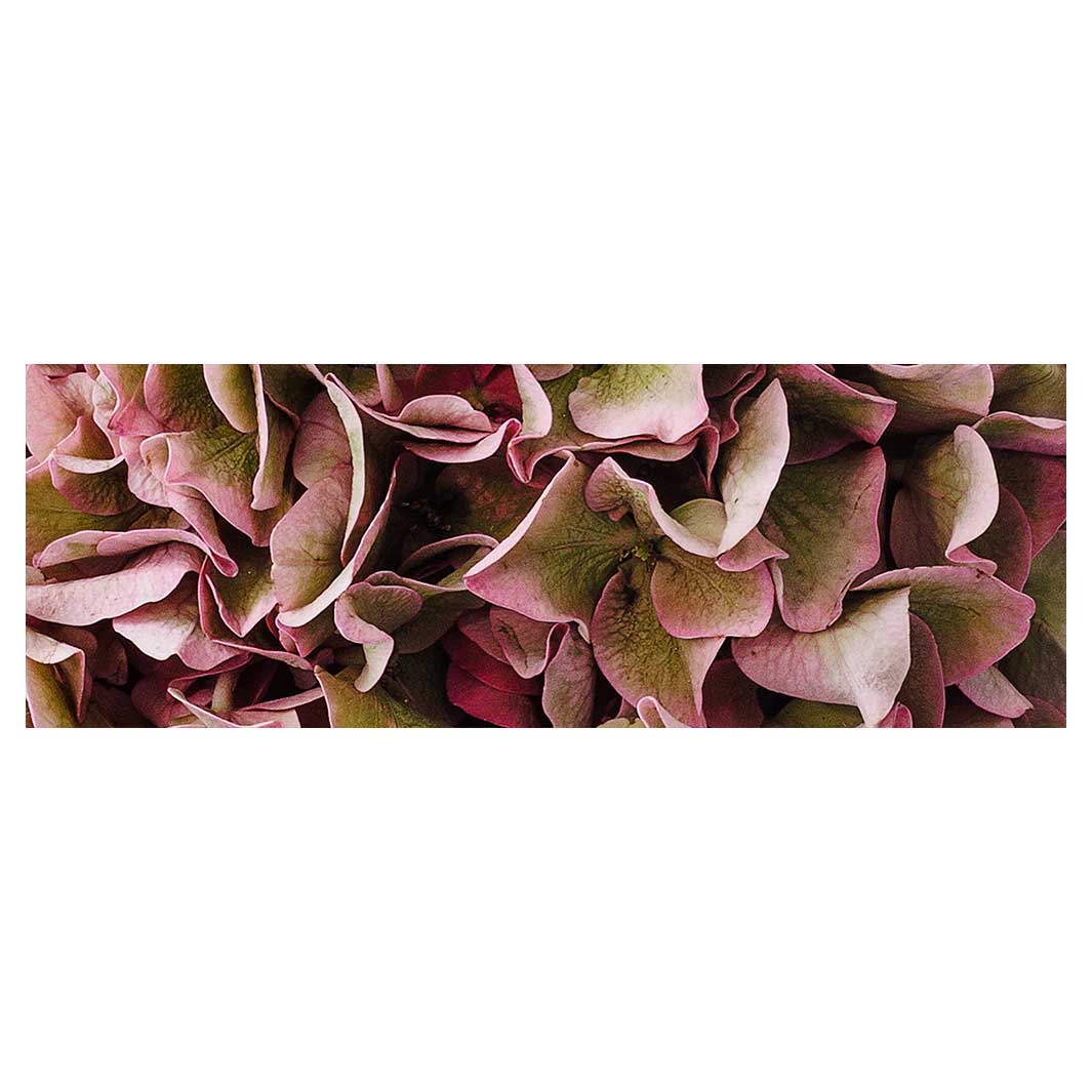 HYDRANGEA DEEP FLORAL TONES RUNNER RUG